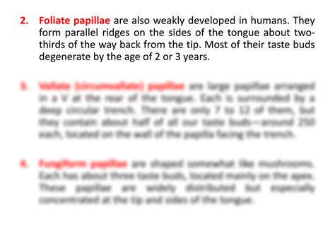 Solution Anatomy Physical Functions Of Tongue Studypool