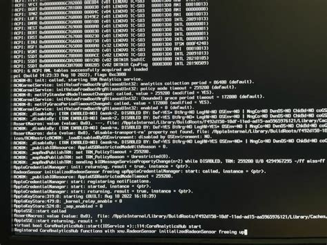 Need Help Kernel Panic Booting Monterey Installation Disk On Thinkstation P520 With Xeon W 2133