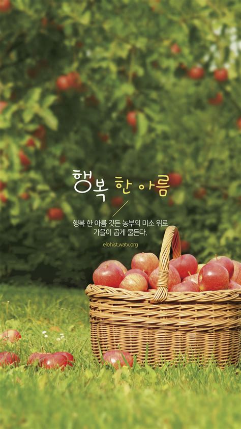 행복 한 아름 Elohist