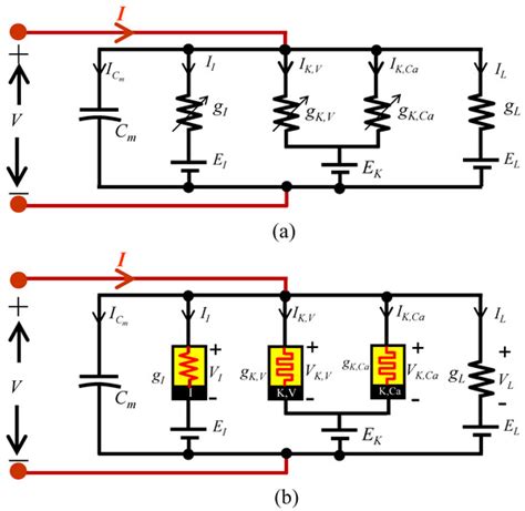 Modeling Excitable Cells With Memristors
