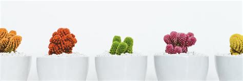 Leading Uiux Web Design Trends In 2020 2021 By Codica Team Codica Journal Medium