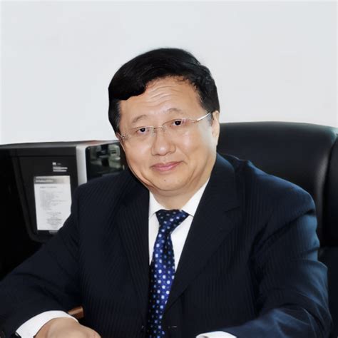 Professor Bing Zheng Fgca Global China Academy 全球中国学术院