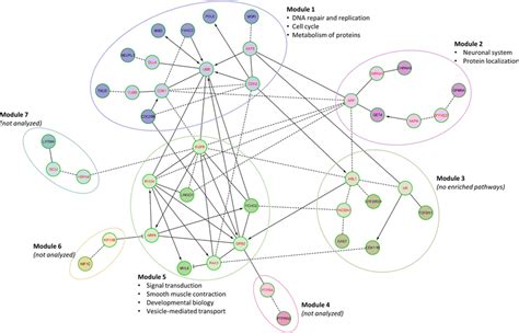 reactome functional interaction network derived from the list of loci