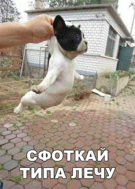 Смешные Картинки До Слез Про —