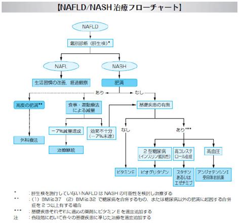 院長コラム藤島クリニック通信一宮町の肝臓外来内視鏡検査生活習慣病の管理診療 藤島クリニック 長生郡一宮町