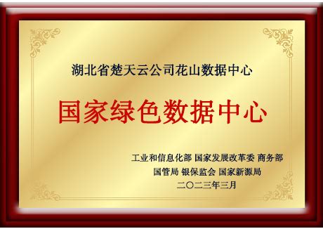 湖北省数字产业发展集团 荣誉资质