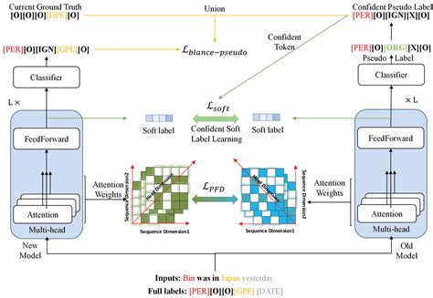 reduced forgetfulness in continual learning for named entity recognition through confident soft