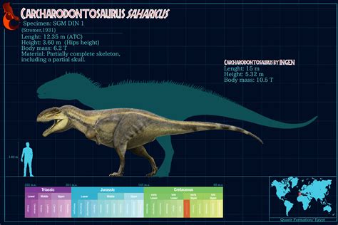 Carcharodontosaurus Size Comparison