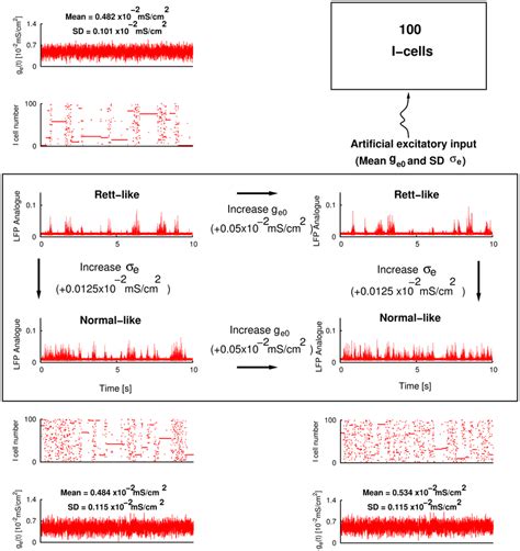 Simulated Hippocampal Slow Population Activities For Normal And