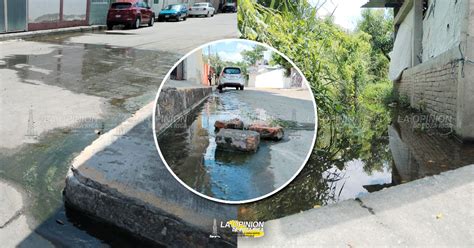 Aguas Negras Contaminan Las Calles De La Colonia La Ceiba