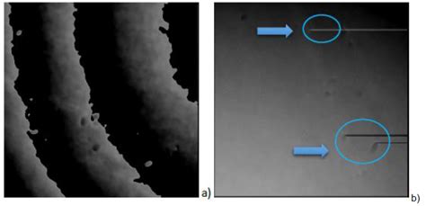 efficiency of phase unwrapping and image filtering algorithms implemented in a fpga applied on