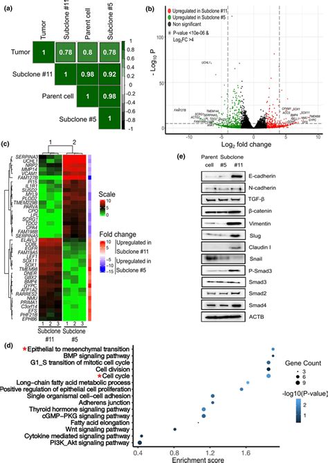 Rna Seq Analysis A Pearson Correlation Of The Overall Expression