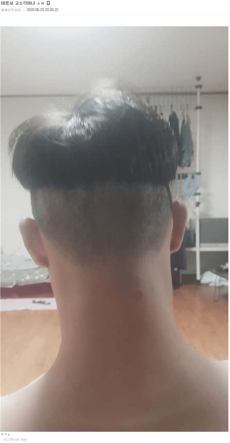 디시인사이드 헤어 갤러리 레전드 총집합 대참사 유머월드