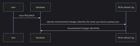Commit Vs Rollback Database Transaction Essentials Dev Community