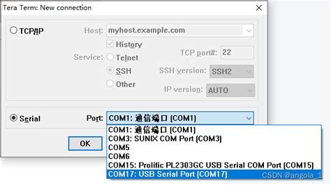 使用pke8720df c13 f10（amb26）开发板——回送用户输入的单个字符（基于uart实验） csdn博客