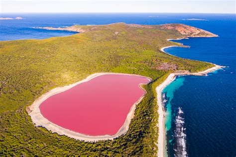Pink Sea Pictures Download Free Images On Unsplash