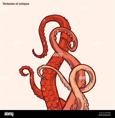 Tentacle Alien Monster Stock Vector Images Alamy