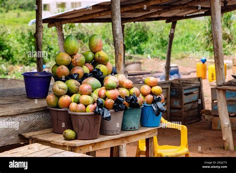 Stalls Selling Mangoes At Techiman In The Bono East Region Of Eastern