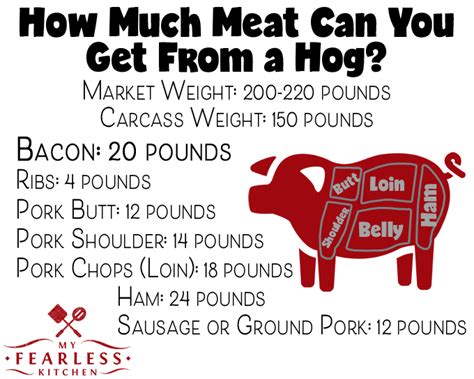 Where Does Bacon Come From My Fearless Kitchen