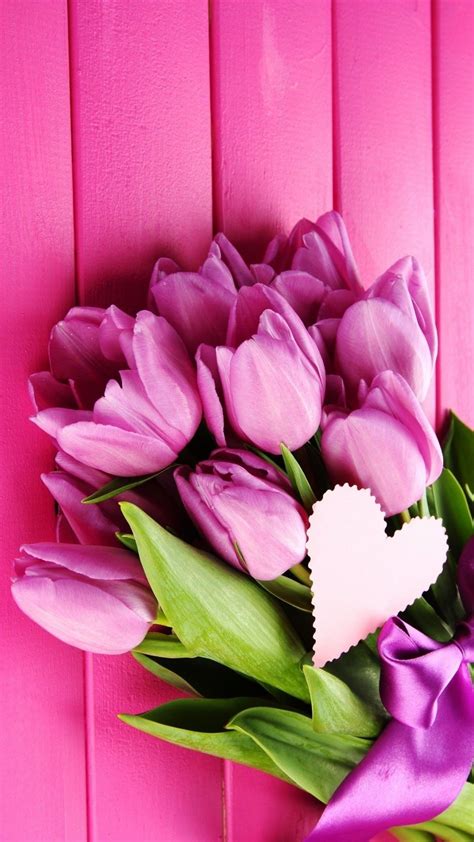 Flower Mobile Full Hd Wallpapers Wallpaper Cave