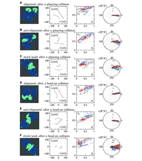 quantitative analysis of binary cell interactions in terms of the