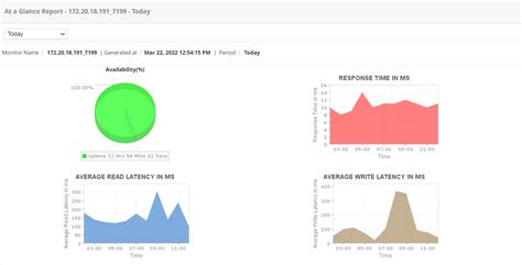 What Is APM Definition Meaning ManageEngine Applications Manager