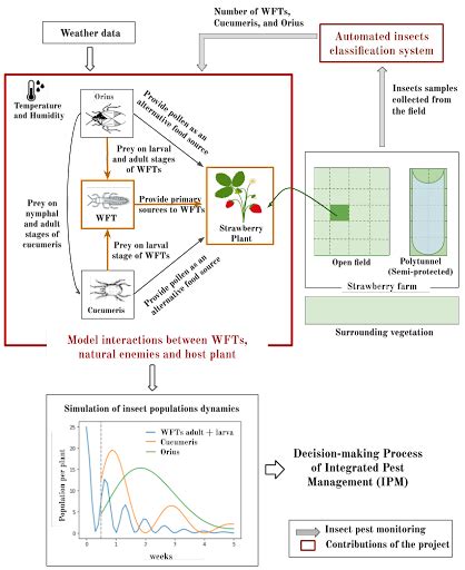 Towards Automatic Monitoring And Population Dynamics Modelling Of Microscopic Insect Pest