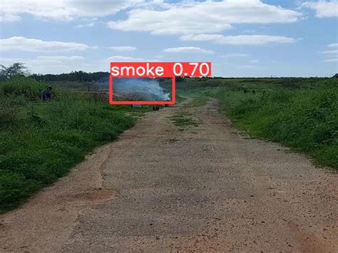 Custom Object Detection Model Using YOLO Upwork