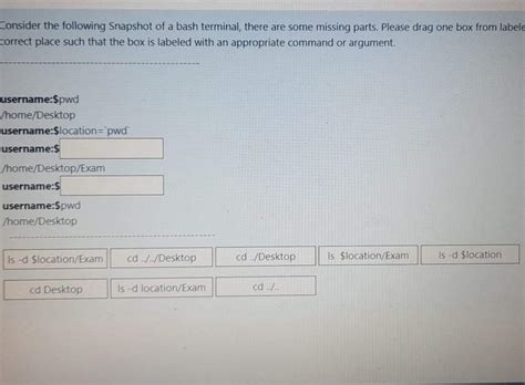 Solved Consider The Following Snapshot Of A Bash Terminal