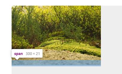 Html In Css When Inline Element Contains Inline Replaced Element