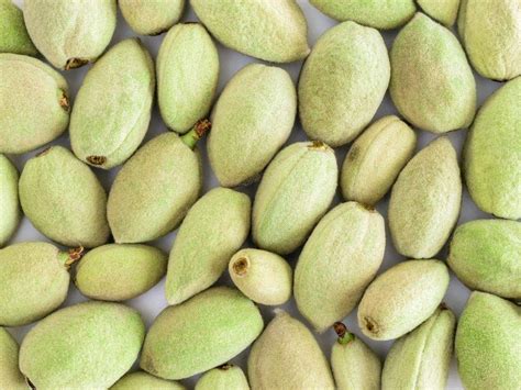 Almond Fruit