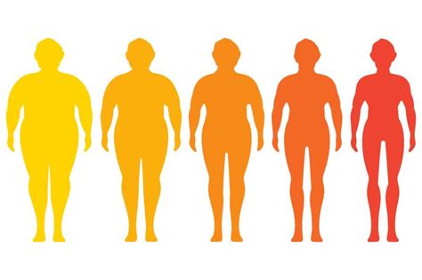 Investigational Triplehormone Receptor Agonist Reduces Fat Mass In People With T2d