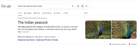 Build A Powerful Question Answering System With Pre‑trained Transformer