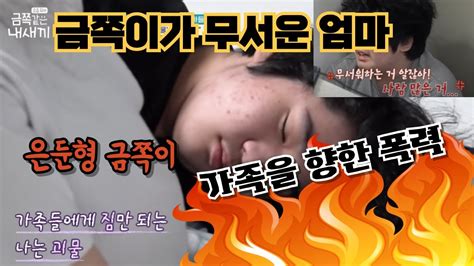 [금쪽이 222회] 가족을 향한 폭력의 이유 부모의 불안과 자녀의 불안 Youtube