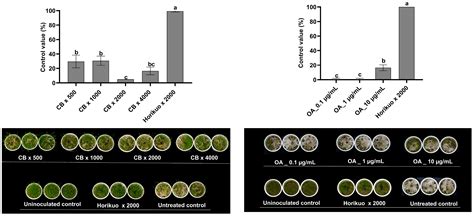 Exploring Pediococcus Sp M21f004 For Biocontrol Of Bacterial And