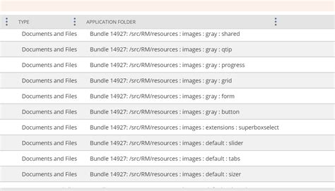 Suite Analytics Application Folder Column Has No Consistency Netsuite Professionals Online