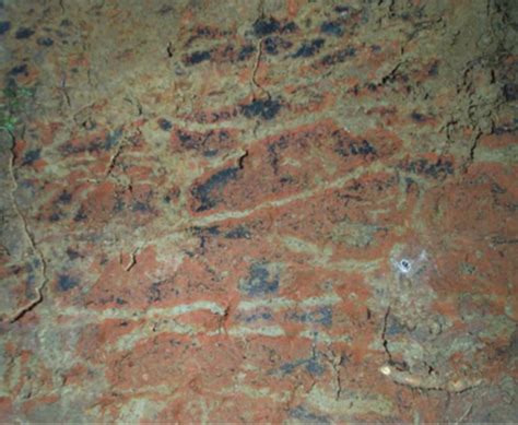 Soils 101 Final Exam Flashcards Quizlet