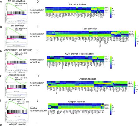 Transcriptomic Analysis Reveals Mnemvaleukin Triggers Immune Response Download Scientific