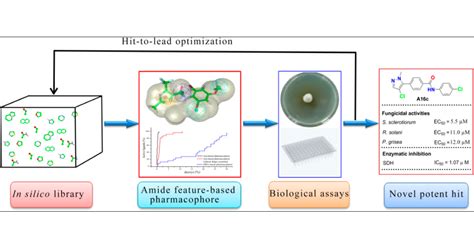 Succinate Dehydrogenase Structure