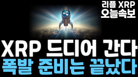 리플 Xrp 엑스알피 Xrp 드디어 간다 폭발 준비는 끝났다 Youtube