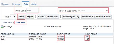 Adding Parameters To A Data Model In Oracle Business Intelligence Publisher