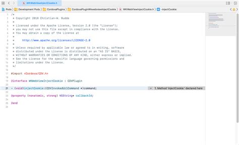 Plugin Seems To Not Work On Ios 14 · Issue 11 · Cwbuddecordova Plugin