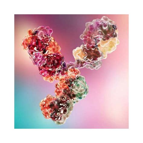 Anti Gfp Mab Primary Antibody