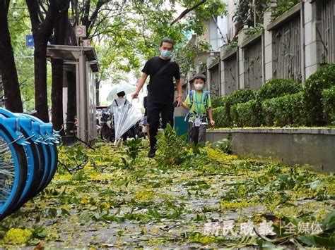 台风过后清理道路保畅行 刘歆 上海 梅花