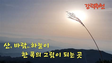 산 바람 하늘이 한 폭의 그림을 만들어 내는 곳 합천 황매산 자연이 주는 위로와 편안함 합천황매산 드라마촬영장 합천여행 황매산억새 Youtube