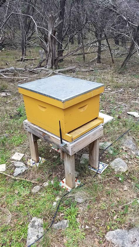 Gallery Bee Hive Health Monitor Hackaday Io