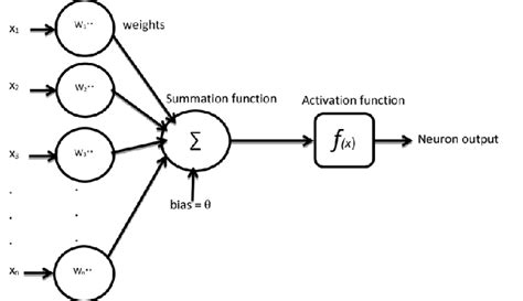 5 Structure Within A Neuron [6] There Are Two Most Used Activation Download Scientific Diagram