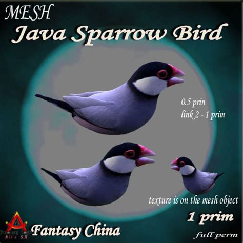 second life marketplace mesh java sparrow bird 0 5 prim link 2 will be 1 prim full perm