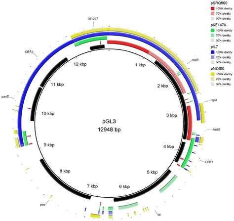 Plasmid Map Of Pgl3 And Dna Sequence Similarity With Other Lactic