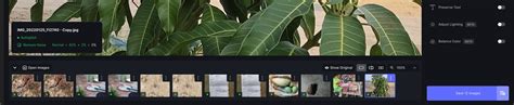 How Can I Run All My Photos Through Autopilot In A Continuous Stream General Topaz Community